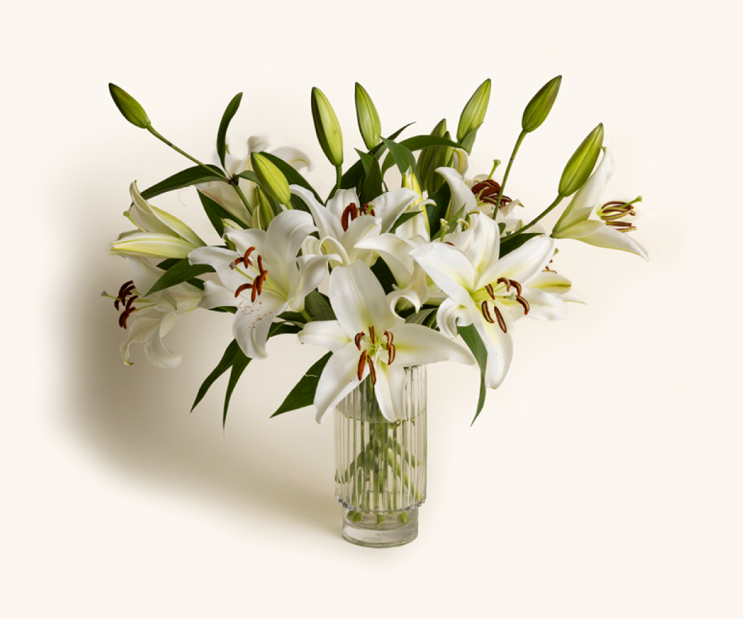 Shop Tulips Online | Fresh, Handpicked Tulip Bouquets – Fresh Sends