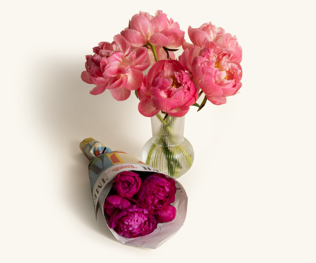 Fresh Sends – Your go-to gifting brand.