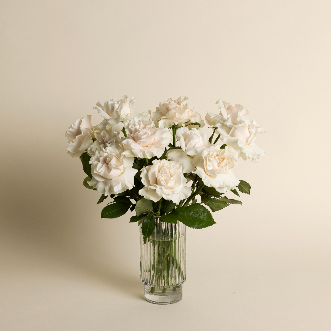 Send Flowers – Fresh Sends